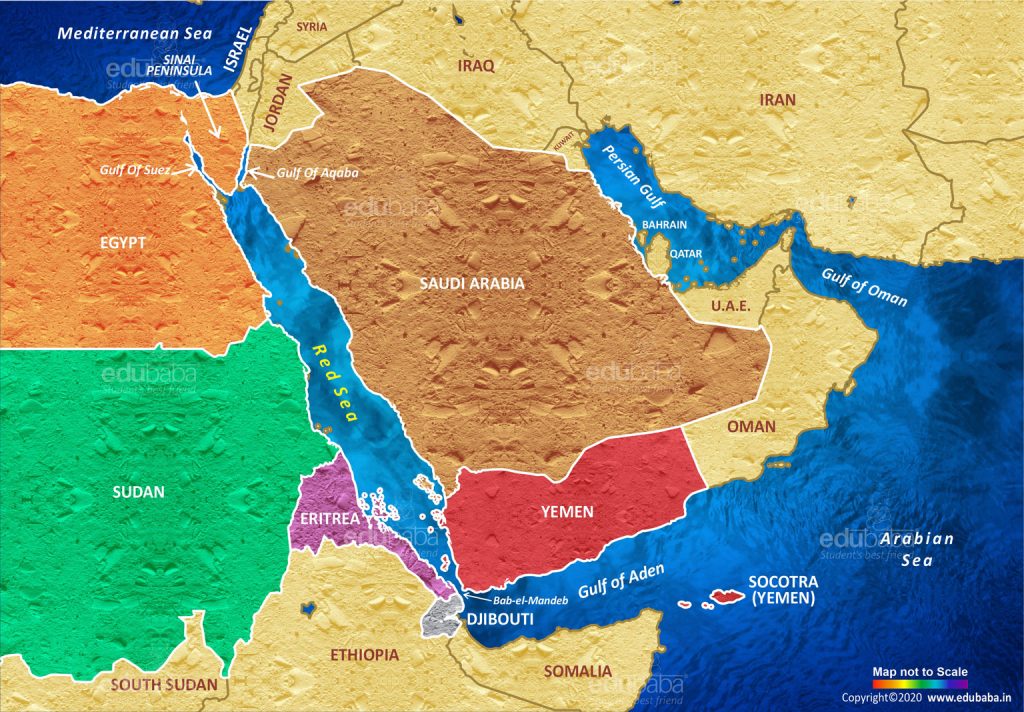 The Horn’s Silent Struggle: Exclusion and Exploitation in the Shadow of ...