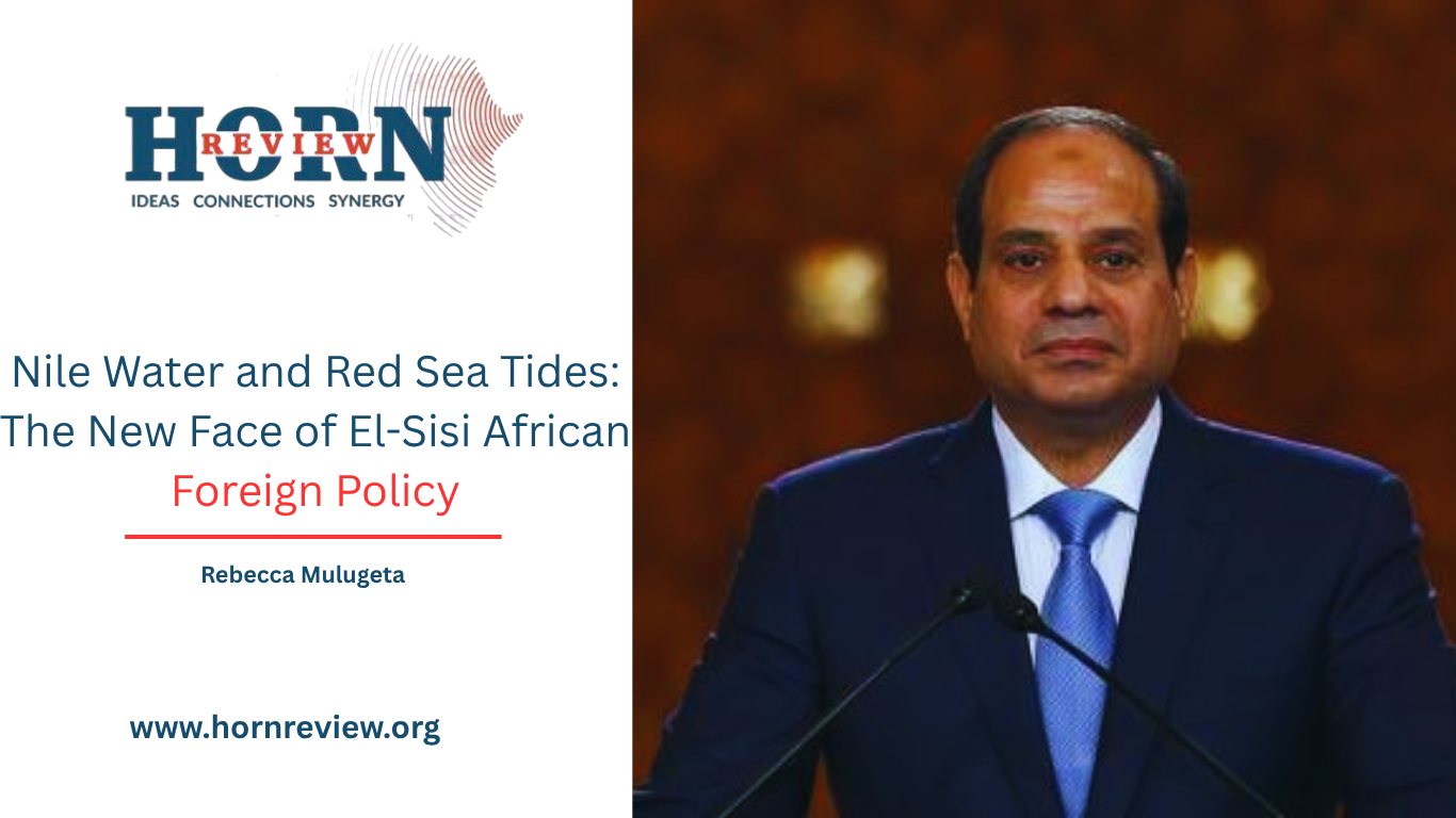 Nile Water and Red Sea Tides: The New Face of El-Sisi African Foreign ...