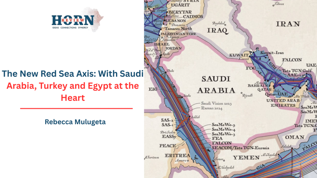 The New Red Sea Axis: With Saudi Arabia, Turkey and Egypt at the Heart ...