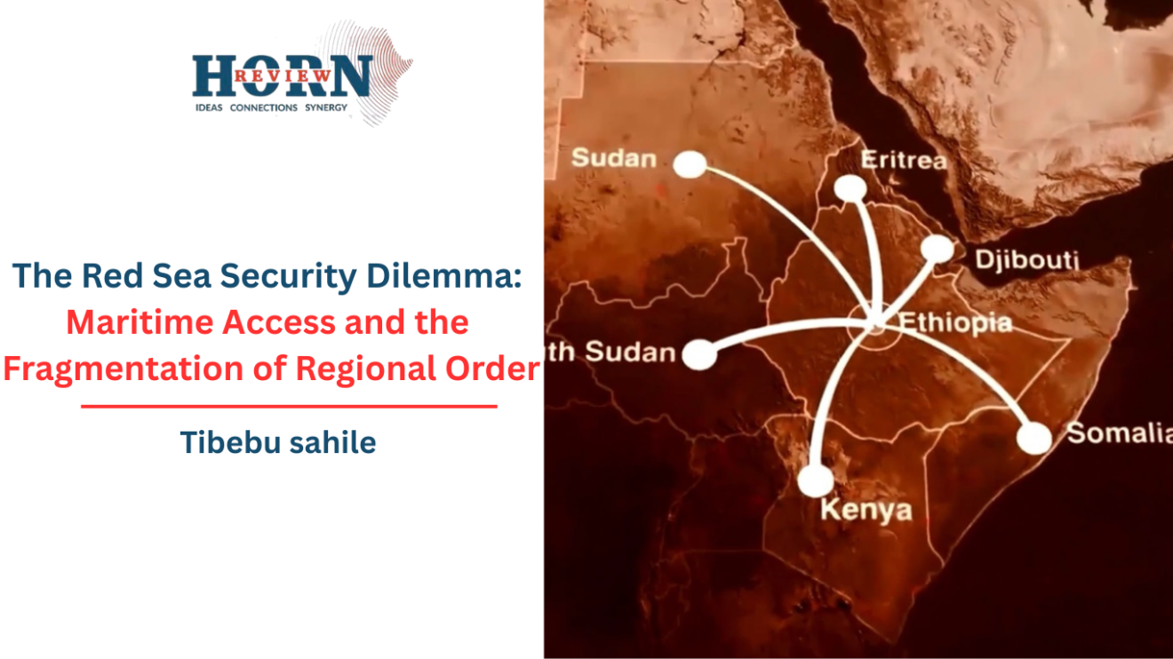 The Red Sea Security Dilemma: Maritime Access and the Fragmentation of ...